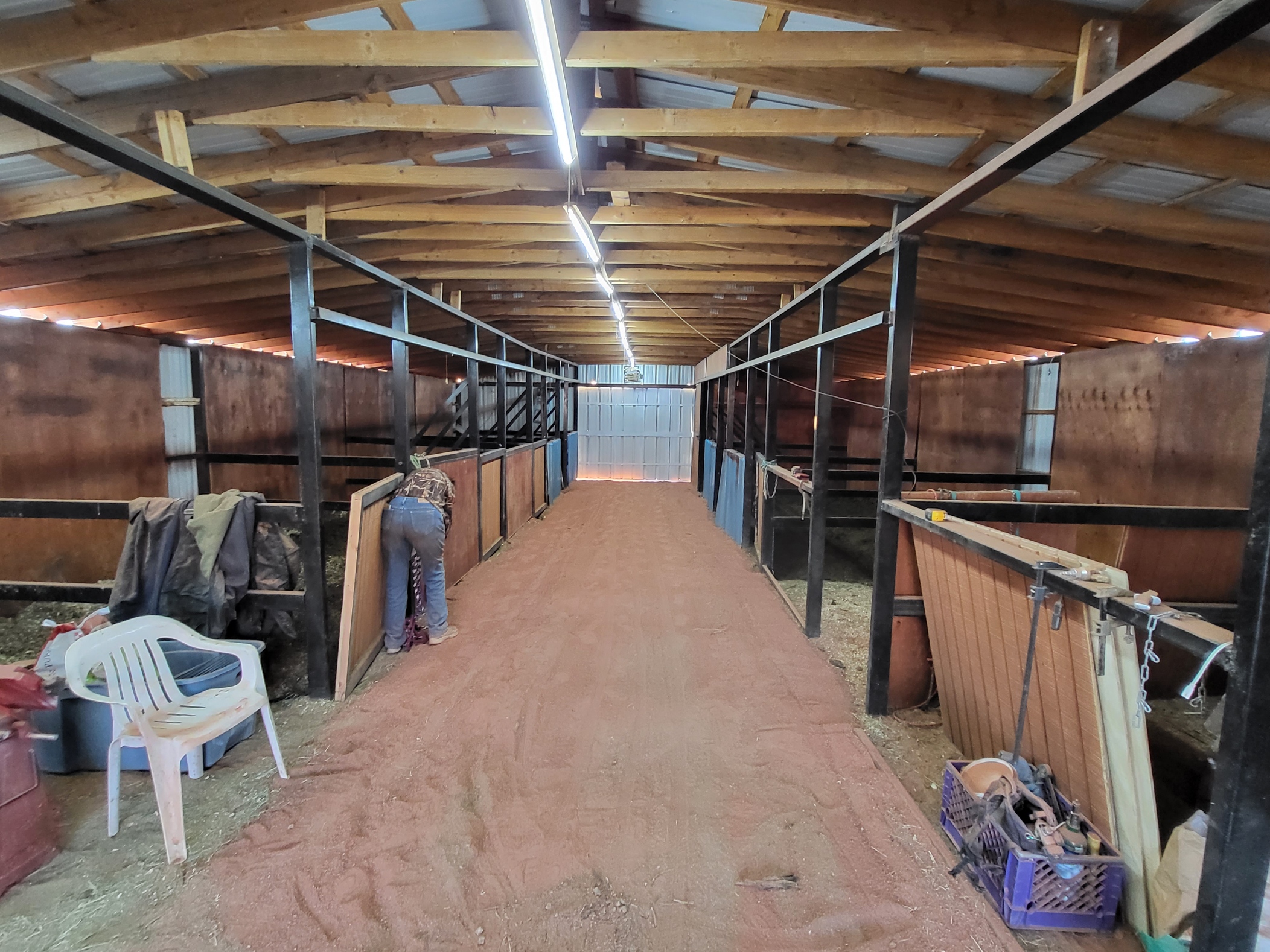 Arizona Equestrian Institute and Center | horse education, riding lessons